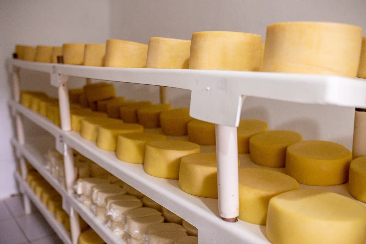 Laticínios - Vilarejo Hotel Fazenda